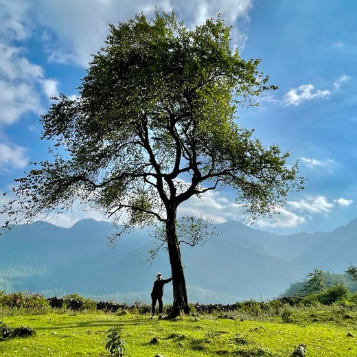 Solo Developer - Viblo