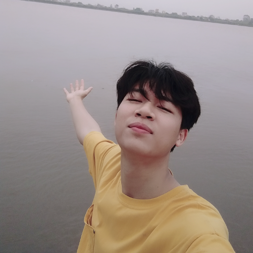 Tô Nam Trường - Viblo