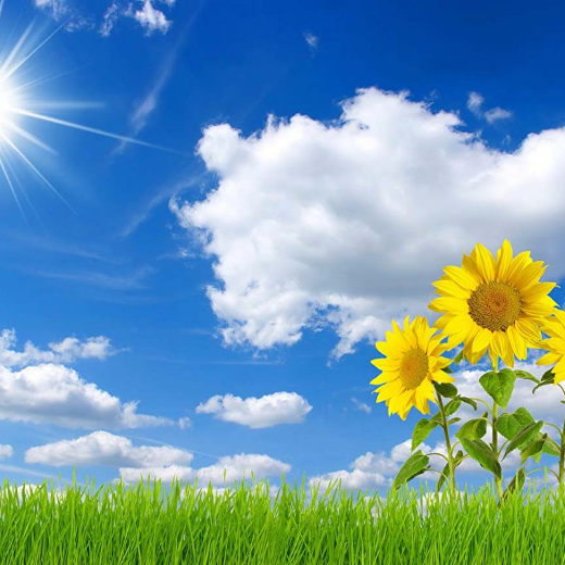 luu thanh vu - Viblo