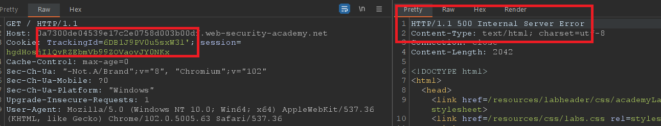 SQL injection vulnerabilities - Lỗ hổng SQL injection (Phần 6)