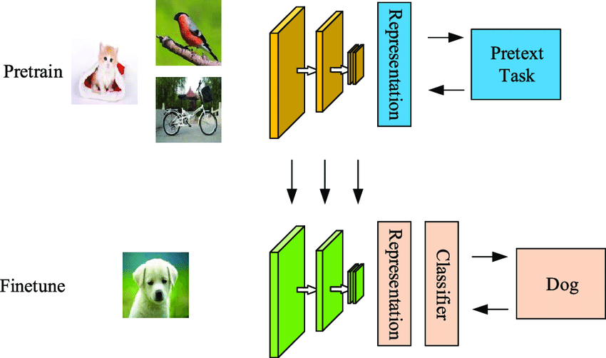 Tổng quan về Self-supervised representation learning (học tự giám sát)