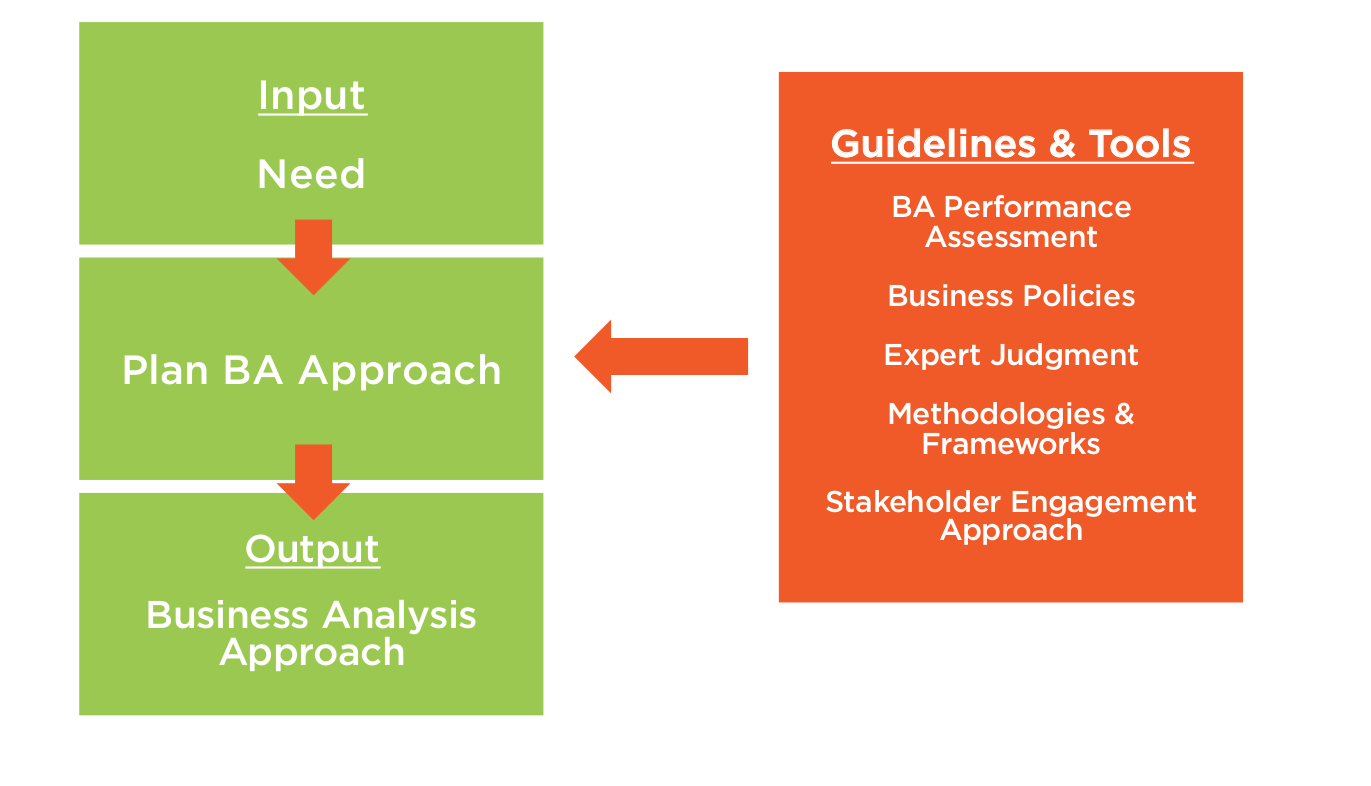 Business Analysis: Planning and Ensuring Success (Phần 1)