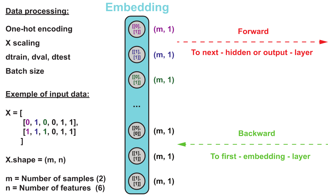 How embedding layer work