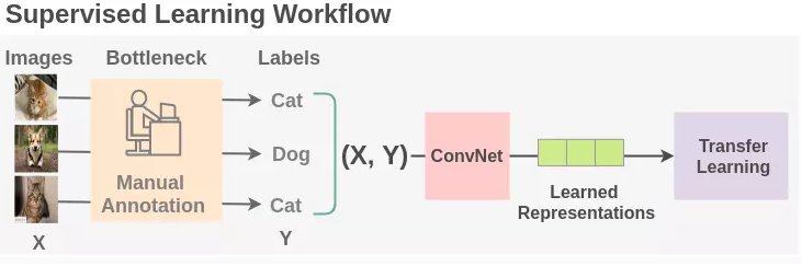 Tổng quan về Self-supervised representation learning (học tự giám sát)
