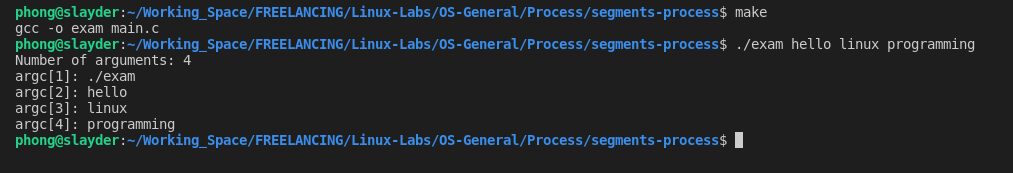 Tổng quan về Linux Process