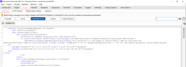 OS Command Injection - Thực Thi Shell Code Cùng "Idol" - Viblo