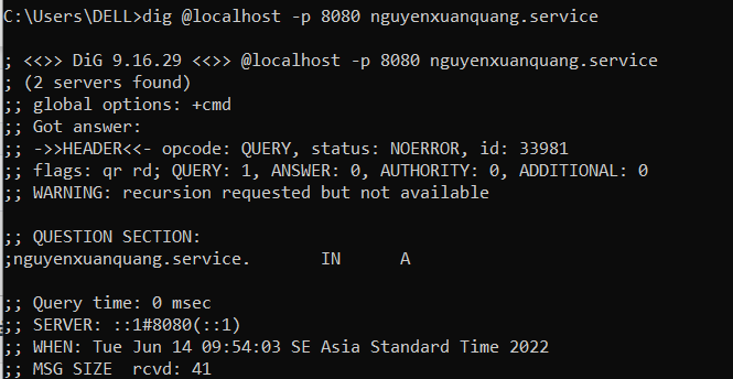 Simple Golang DNS Server