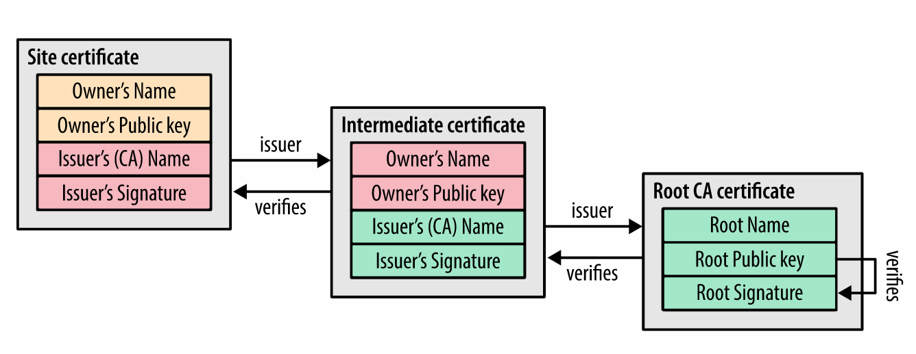HTTPS là gì? Giải thích chi tiết SSL/TLS bằng chuyện tình Chó và Mèo