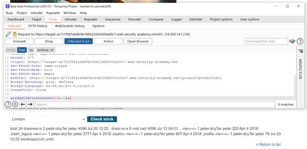OS Command Injection - Thực Thi Shell Code Cùng "Idol" - Viblo